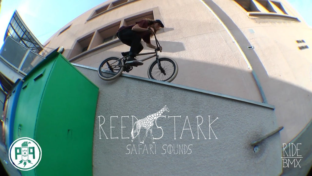 Reed Stark – Pro Part… – BSD USA/International store